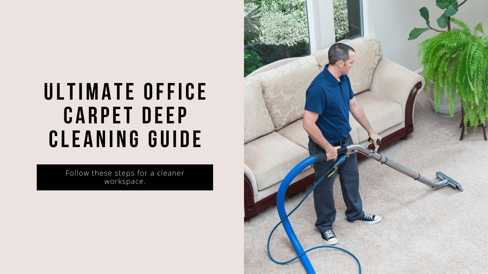 Guide to Deep Cleaning Office Carpet | Clean Green Solutions